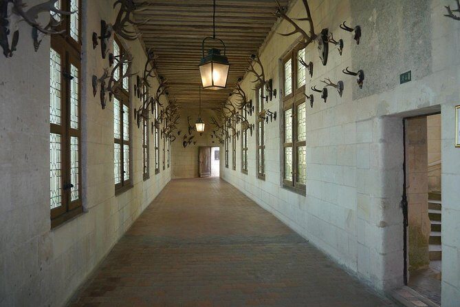 Chambord Castle: Private Guided Walking Tour - What the Reviews Reveal