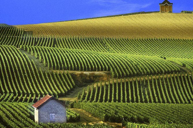 Champagne Day Tour with Reims, Cellars Visit & Champagne Tasting from Paris - The Itinerary in Detail