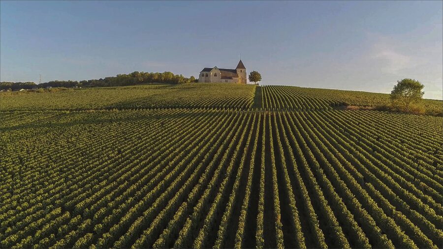 Champagne vineyard Reims field rural agriculture