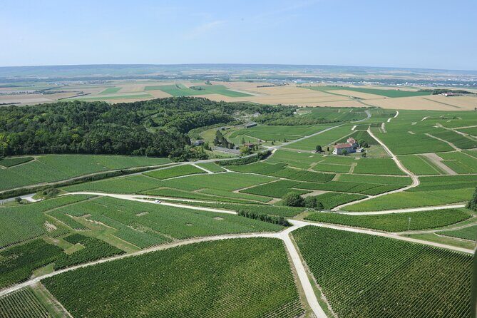 Champagne Domaine Coutant, Wine Discovery and Tasting - What You Can Expect During the Walk and Tasting