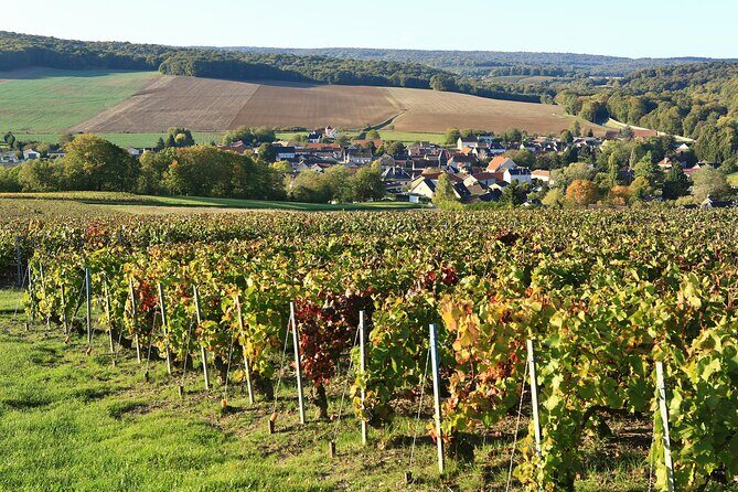 Champagne Guy De Chassey: Traditional Tour & Tasting - Practical Details