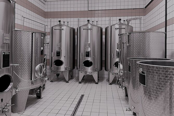 Champagne Munoz Bruneau : Half Day Visit and Tasting - What Makes This Tour Stand Out?