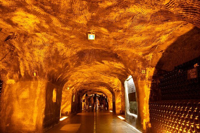 Champagne Tour: 3 family estates, 10 Tastings & Lunch - What’s Included and How It Adds Value