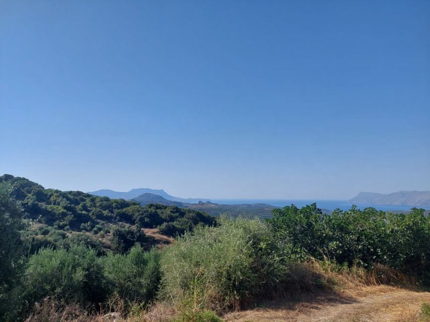 Chania: 5-Wine Tasting with Locals in Village near Kissamos - Who Should Consider This Tour?