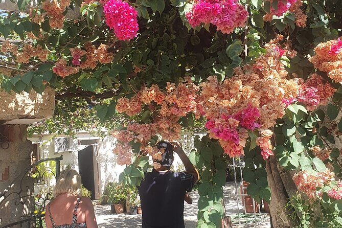 Chania Area: Cooking Class at a Farm in Stylos Village (organic) - An in-depth look at what this farm experience offers