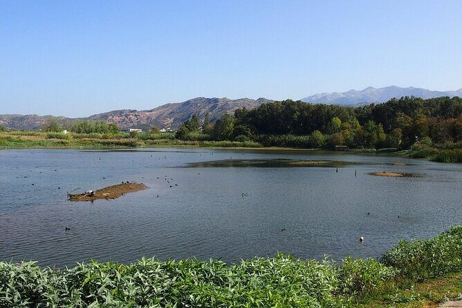 Chania Ebike Eco-Long Tour with Traditional Snack - What’s Included and What to Consider