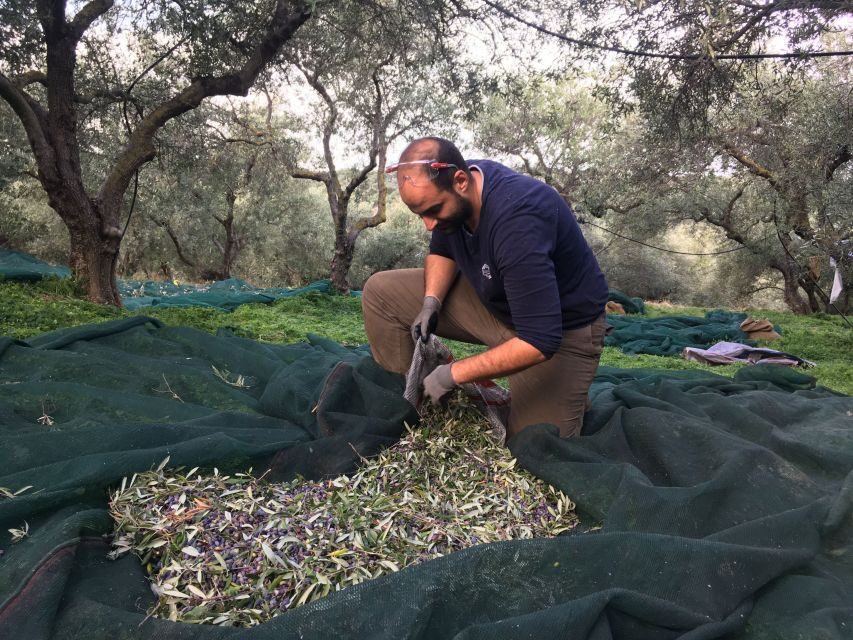 Chania Private Olive Oil Tour: Oil Tasting & Villages Tour - Who Should Consider This Tour?