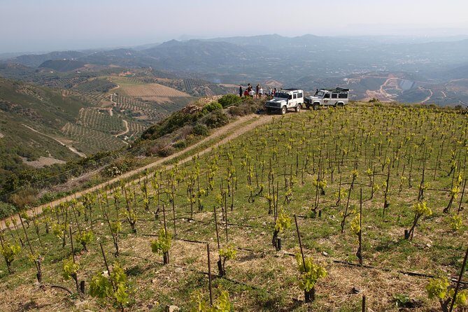 Chania Shore Excursion Off Road Vineyard and Winery Tour Half Day - Frequently Asked Questions
