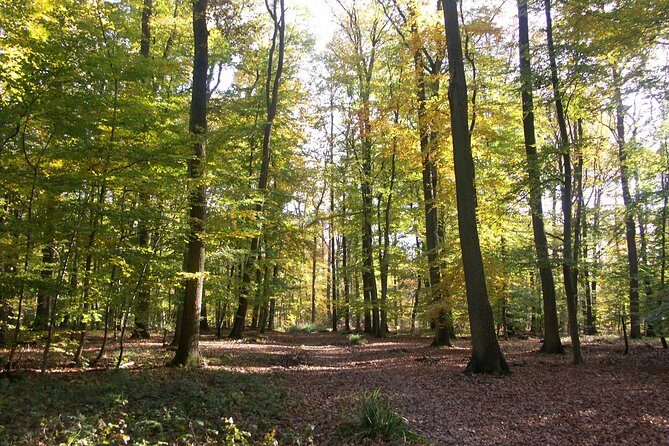 Chantilly by bike or Chantilly with electric bike - Final Thoughts: Is It Worth It?