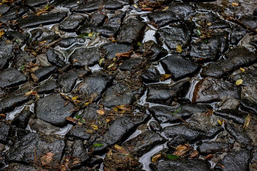 Wet cobblestone path with scattered autumn leaves, atmospheric for a ghost walking tour