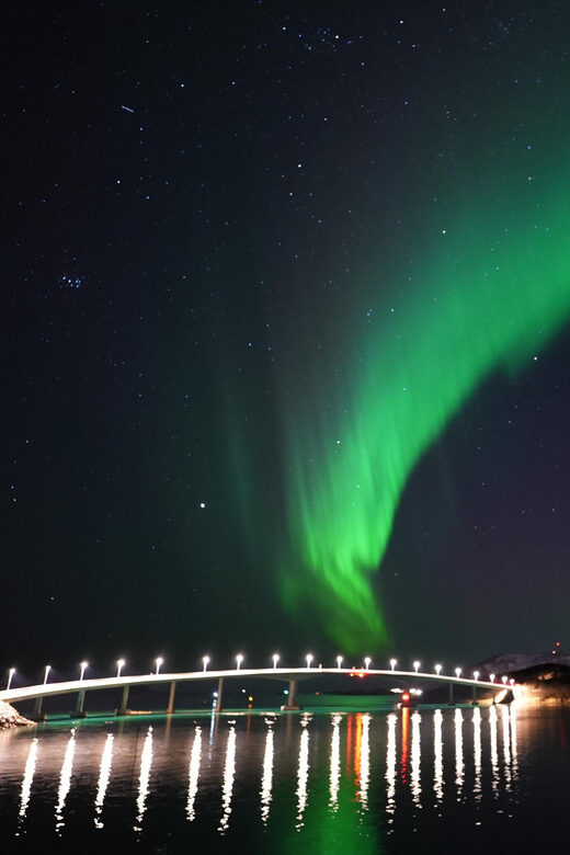 Chase the Magic of the Northern Lights in Tromsø Norway - The Value of the Experience