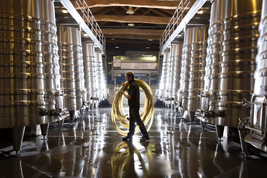 Château Olivier: One Hour Vineyard Tour with Wine Tasting - Discovering Château Olivier: An Authentic Bordeaux Experience