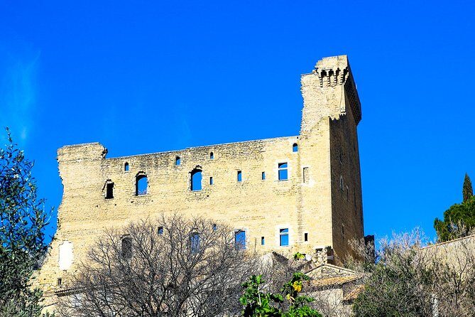 Châteauneuf Du Pape intensive vineyard & fine wine experience - The Sum Up: Is It Worth It?