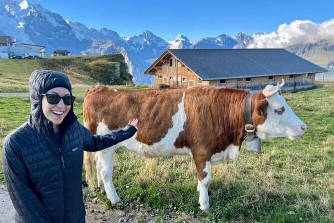 Cheese and chocolate on mountain summit - Pricing and Value