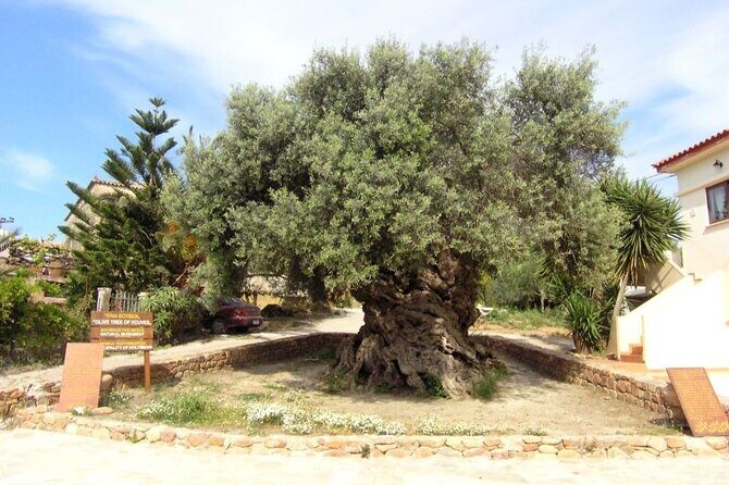 Cheese and Wine Tasting Tour From Chania - What to Expect in Terms of Value and Experience