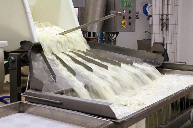 Cheesemaker for a day & visit to the dairy - What Travelers Say