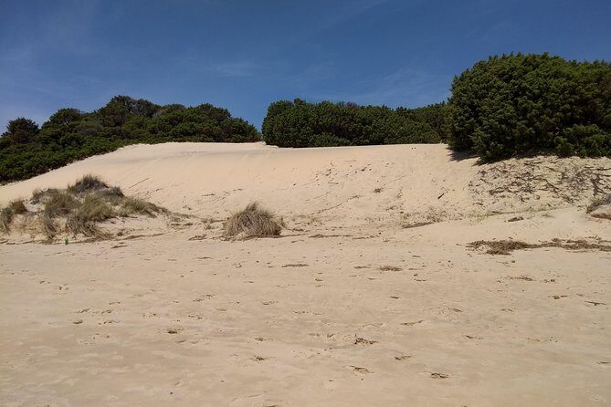 Chia Beaches Tour from Cagliari with van - Why Choose This Tour? Top Highlights