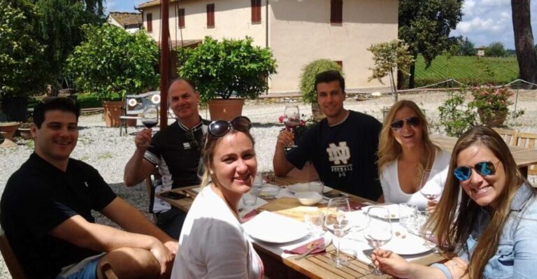 Chianti: 4 Wines +1 Oil Guided Tasting & Tour - The Vineyard and Scenic Views