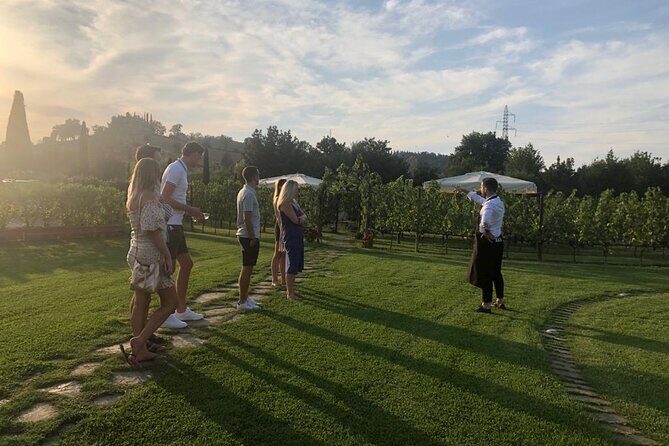 Chianti and San Gimignano - 2 Wineries with Pairing Lunch - Who Will Love This Tour?