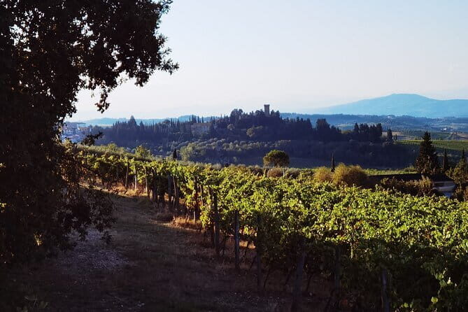 Chianti Classico E-bike Tour - Insights from Traveler Reviews