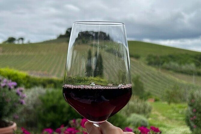 Chianti Classico wine Tour and Tasting - The Good, the Bad, and the In-Between