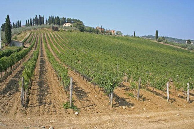 Chianti Experience Shore Excursion from Livorno Port - The Itinerary in Detail