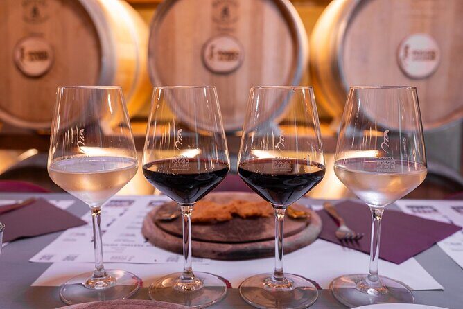 Chianti Grand Tasting: Signature Wines, Oils & Balsamics in the - The Atmosphere and Setting