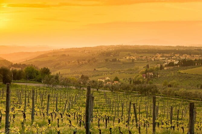 Chianti Wine Tour from Florence to San Gimignano with 2 Wineries - Guides and Guest Experiences