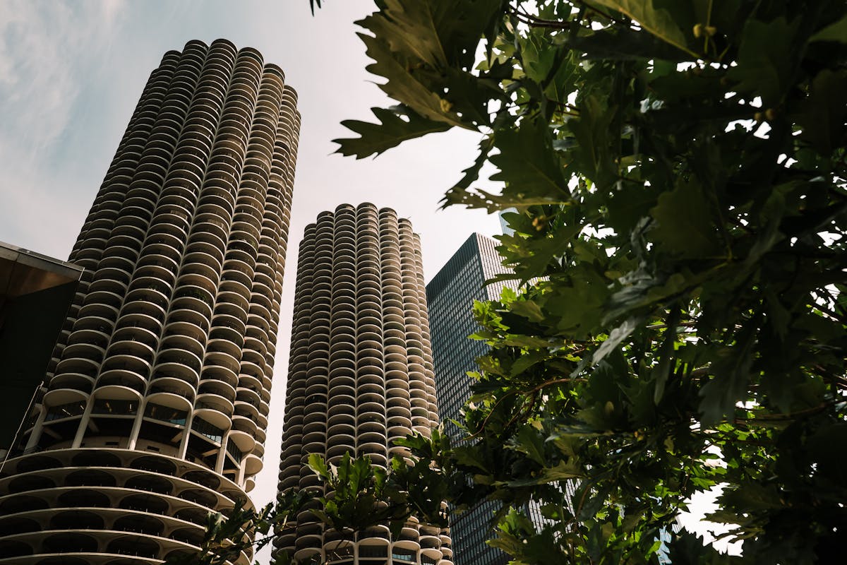 Marina City Towers in Chicago framed by greenery highlighting their corn-cob design