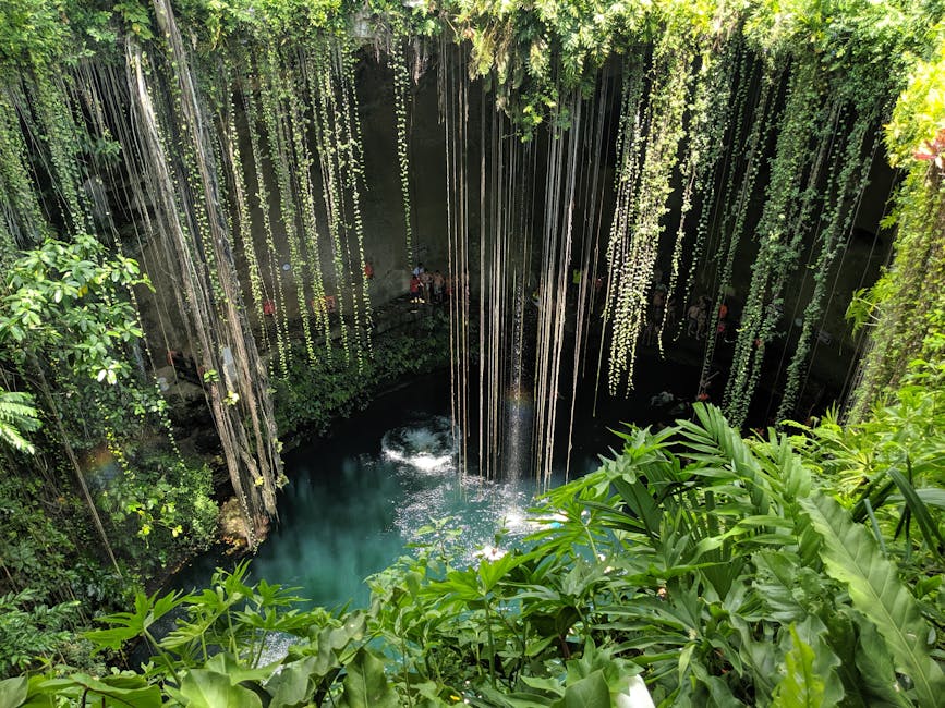 Cenote Ik Kil with hanging vines and round pool near Chichen Itza