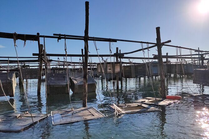 Chioggia : Aquaculture Secrets Tours of the Lagoon - Who Is This Tour Best For?