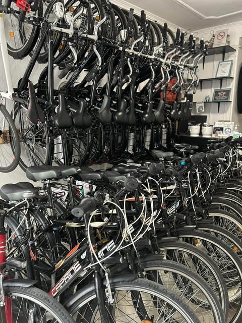 Choose a bicycle and make your own tour in Budapest-24 hrs - Who Would Appreciate This Experience?