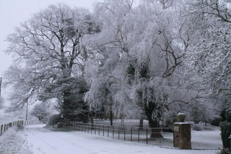 Christmas in Oxford, the Cotswolds and Stratford with Lunch - Practical Considerations and Tips