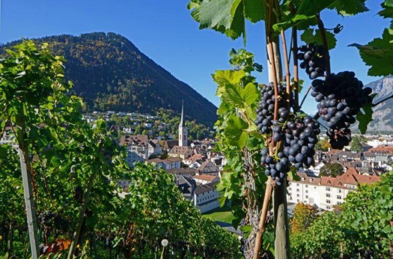 Chur: Altstadtführung - Why the Tour Offers Good Value