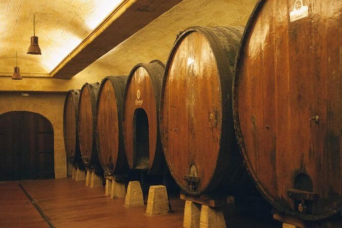Cider House Experience From San Sebastian - Who Will Love This Tour?