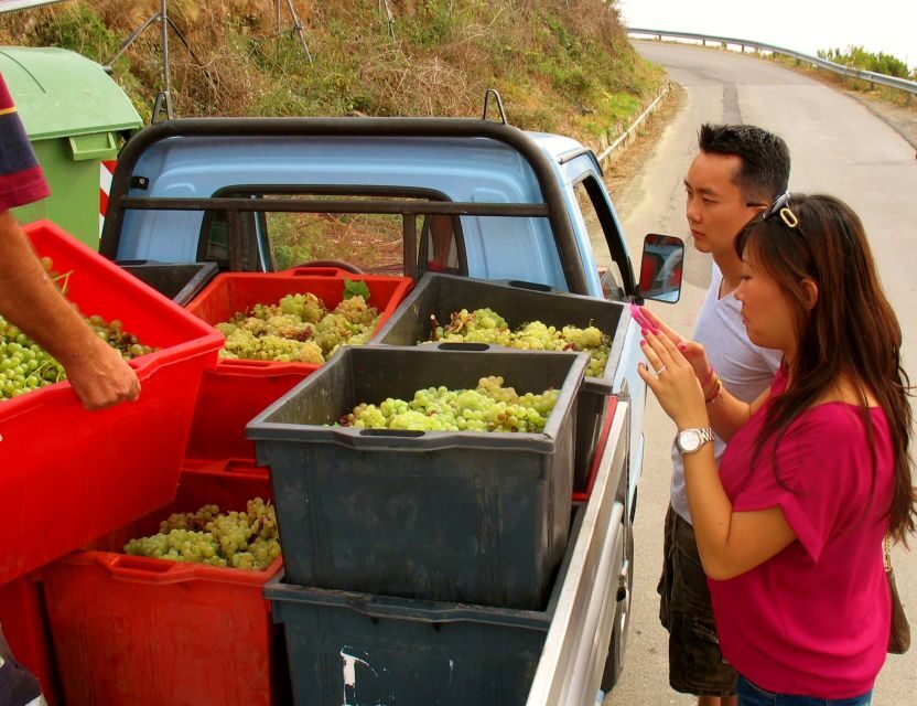 Cinque Terre Private Day Trip from Florence - Why This Tour Is a Great Deal