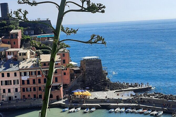 Cinque Terre Semi-Private Day Tour from Montecatini Terme - Transport & Logistics: What You Need to Know