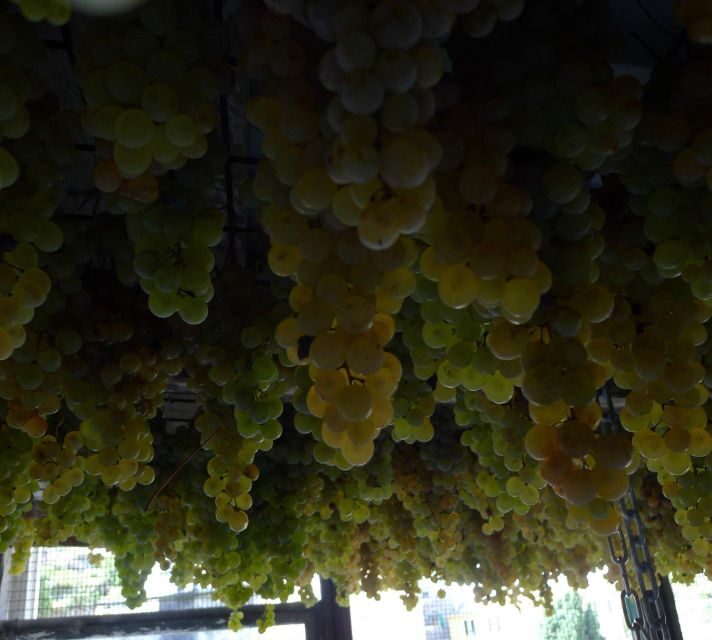 Cinque terre wine tour and tasting with the somelier - Tour Details and Practical Information