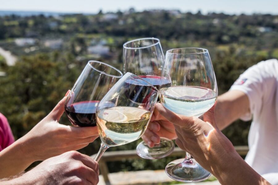 Cisternino: Guided e-bike tour to winery & oil mill - Practical Details & Value