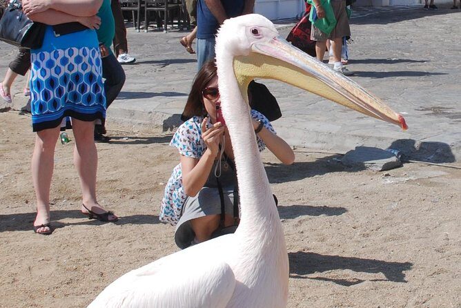 City & Island Tour - Deep Dive into the Experience