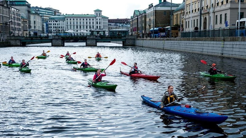 City Kayak Tour - Authentic Experiences and Traveler Feedback