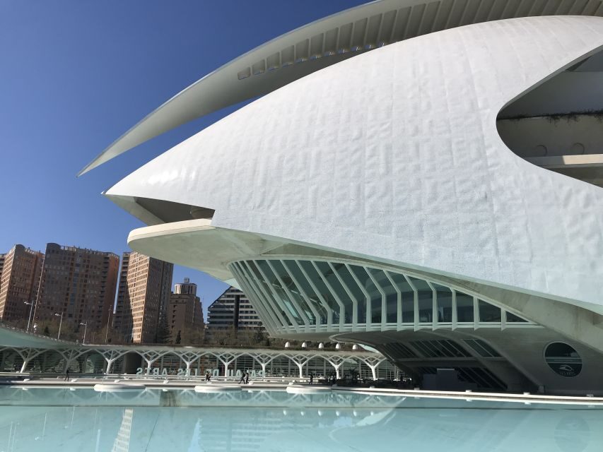 City of Arts & Sciences Tour on Bicycle, E-Bike or E-Step - A Musical Pause at the Palau de la Musica
