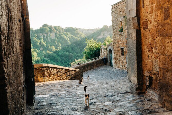 Civita di Bagnoregio and Orvieto - Private Day trip from Rome - Who Will Love This Tour?