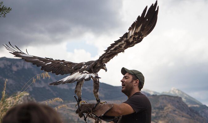 CIVITA EXPERIENCE Borgo Gole Mountain and ... RAPACI del Pollino - Final Thoughts