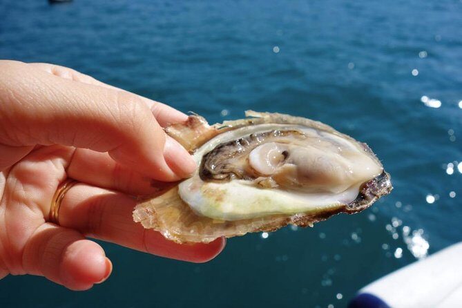 Classic Tour with Wine Tastings from Dubrovnik - The Authentic Experience: What You’ll Take Away