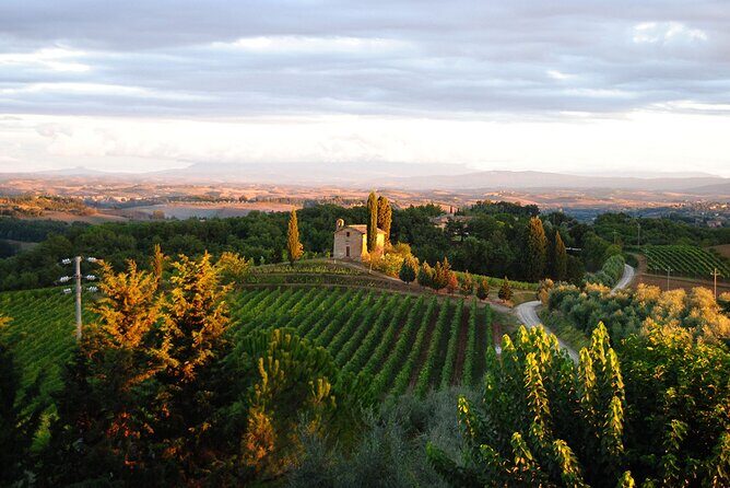 "CLASSIC" Wine Tasting and Typical Tuscan Products - Practical Tips for Visitors