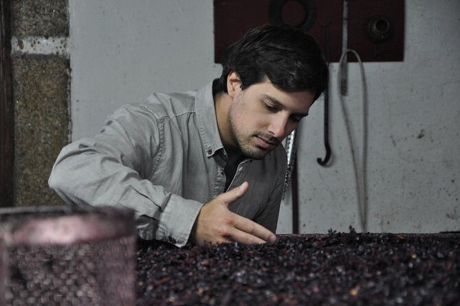 Classic Wine Tasting with GUIDED TOUR - Frequently Asked Questions