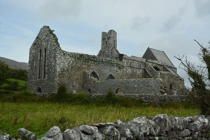 Cliffs of Moher and Burren Private Tour from Galway - What to Expect from the Tour