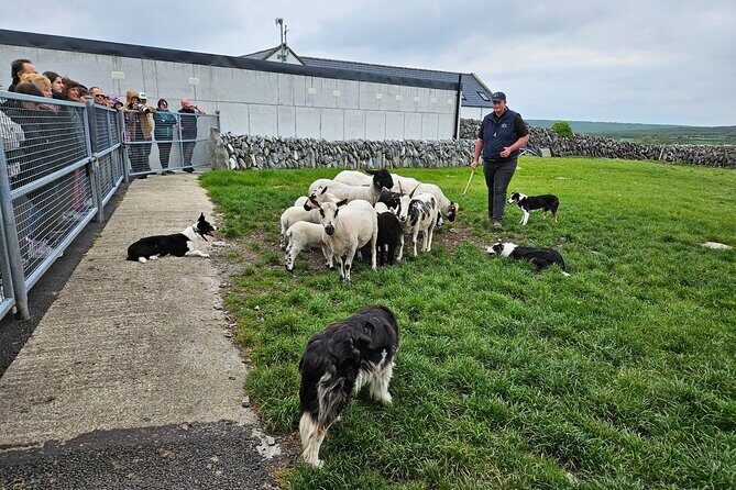 Cliffs of Moher from Dublin Full Day - Private Driver - A Detailed Look at the Itinerary