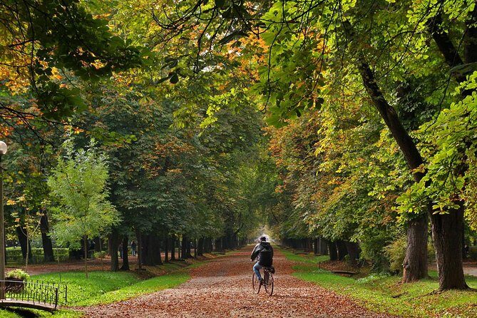 Cluj-Napoca Walking City Tour - Practical Details and Tips for Your Tour